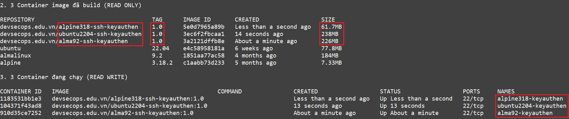 1 Vm 3 Container Docker Cli Key Authentication Lab 03 Xem Trước Học Devsecops Chuyên Sâu
